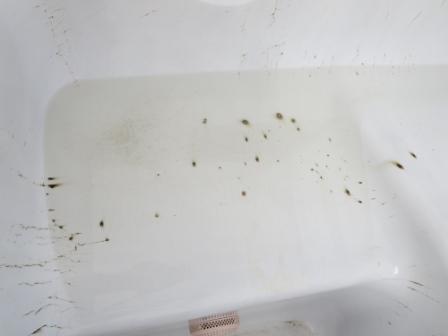 Using LYE to get rid of Black Mold - Hot Tub Water Chemistry - Pool and ...
