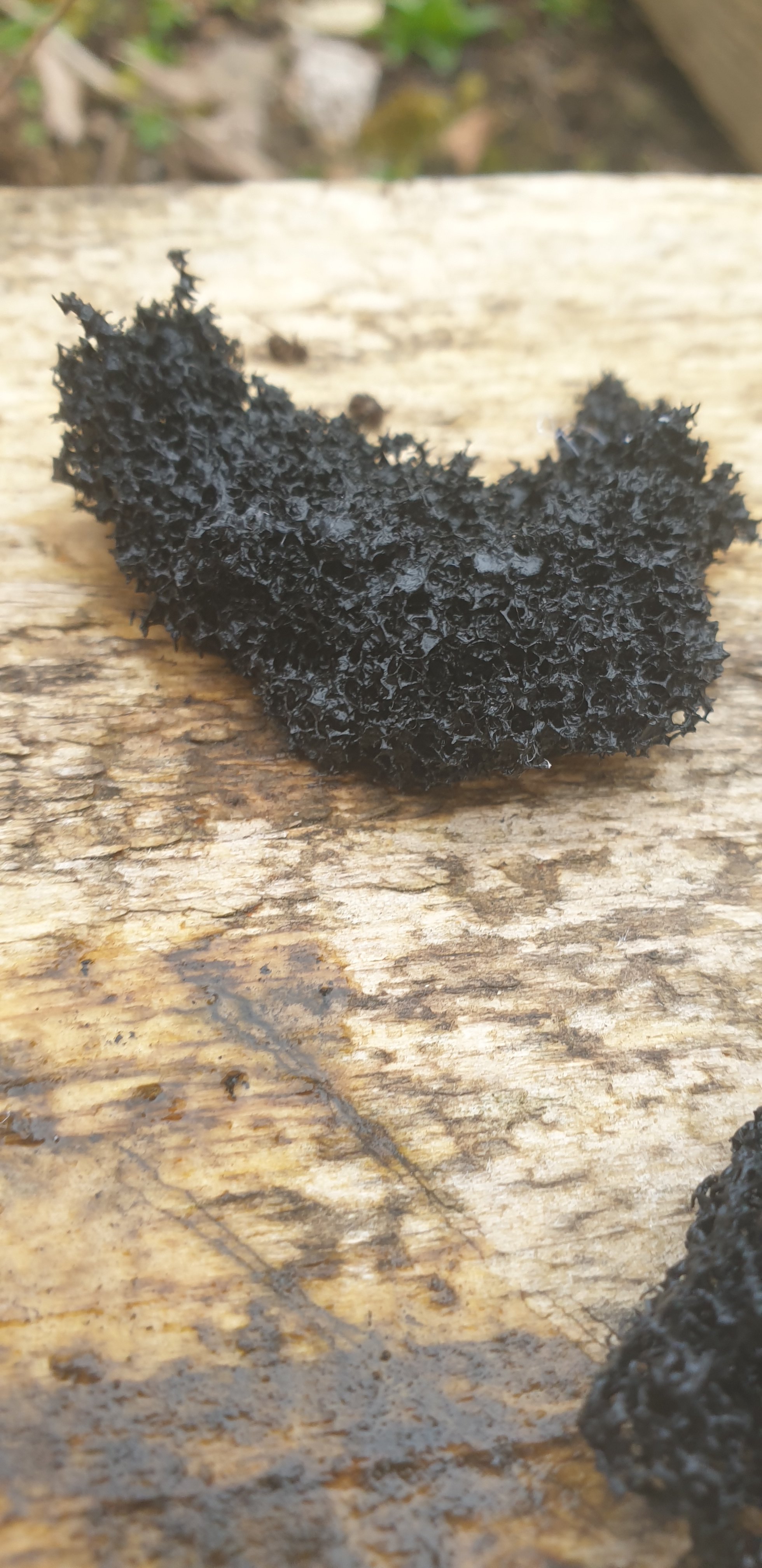 Black sponge like material? - Hot Tub Water Chemistry - Pool and Spa Forum