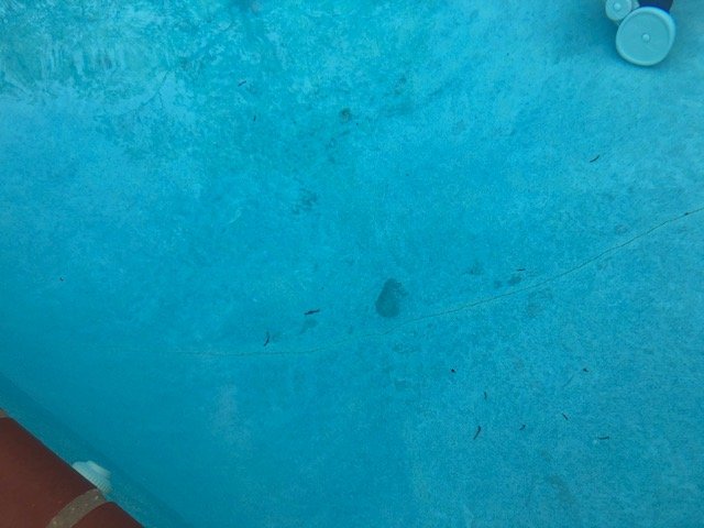 Need advice on crack repair staples - All Swimming Pools Types - Pool ...