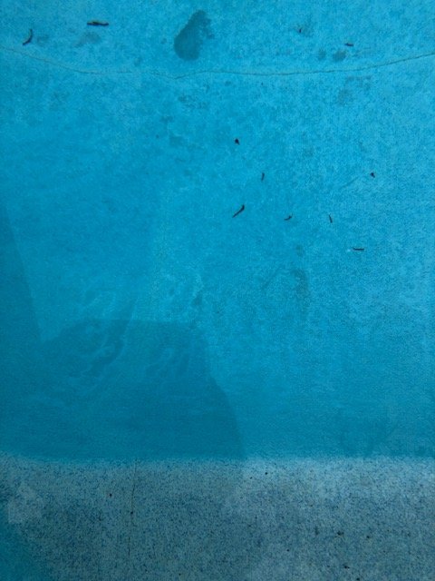 Need advice on crack repair staples - All Swimming Pools Types - Pool ...