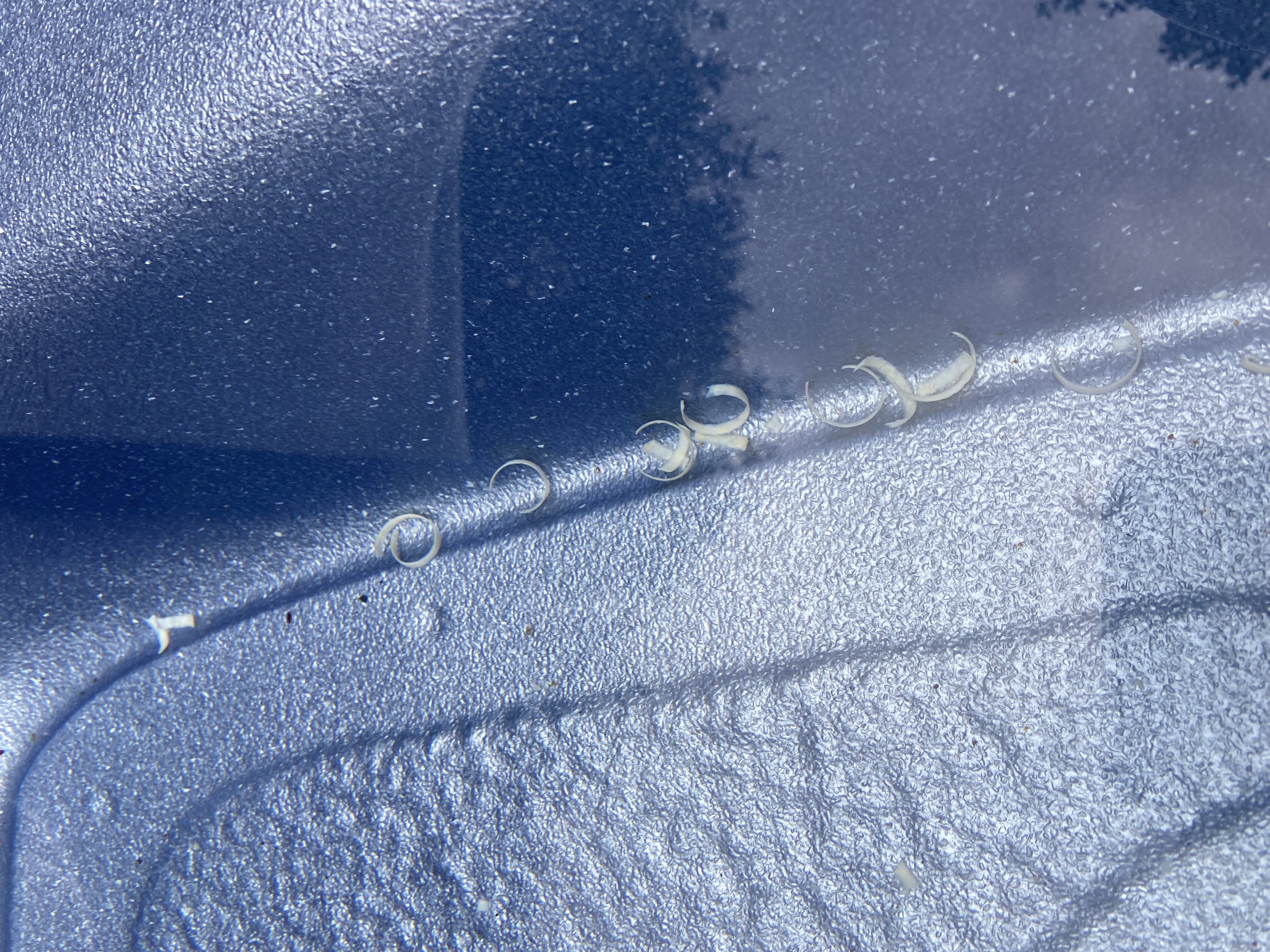 White mold? biofilm…or worse? Please help! - Portable Hot Tubs & Spas ...