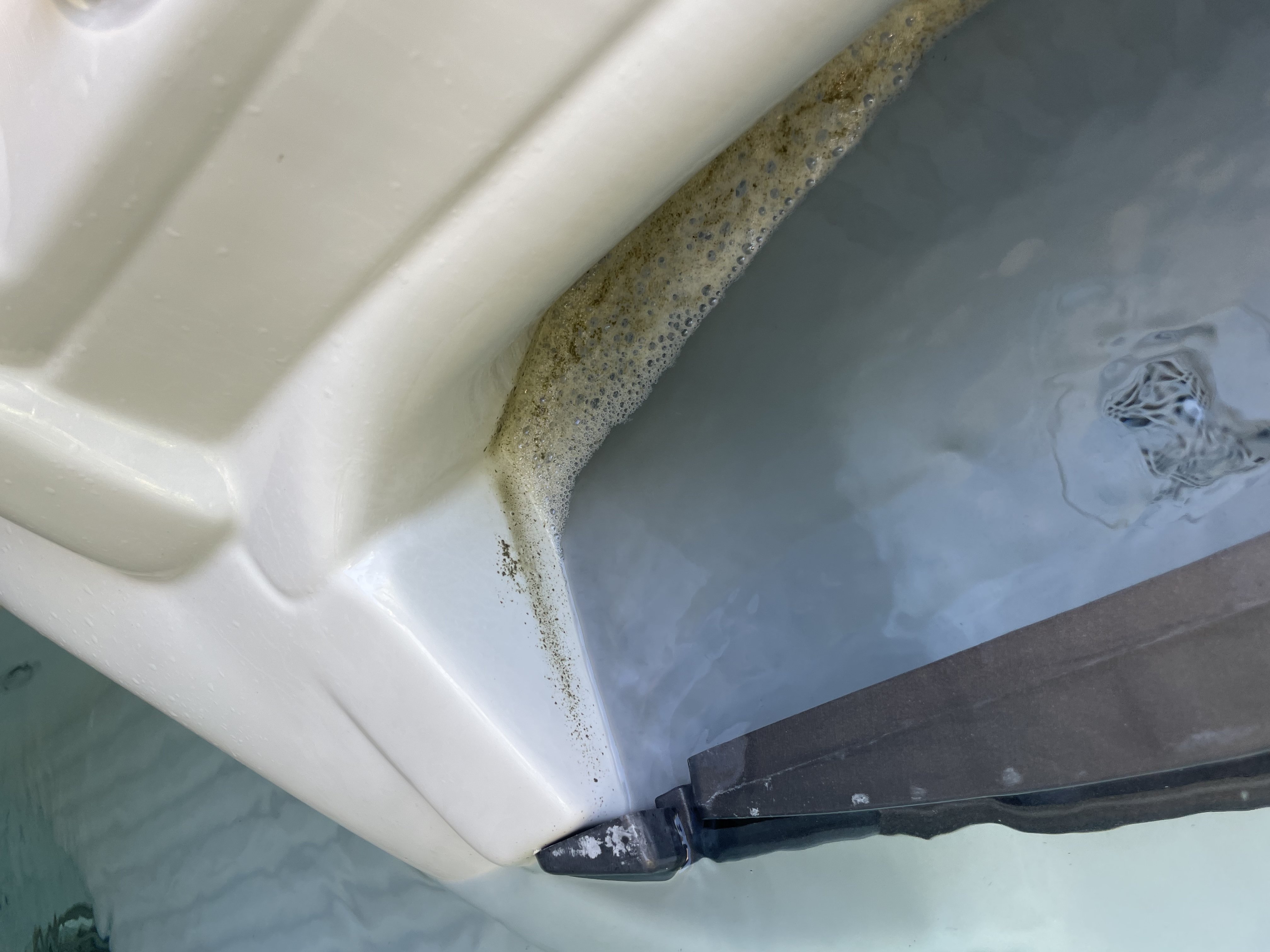 Mold in tub?!? - Hot Tub Water Chemistry - Pool and Spa Forum