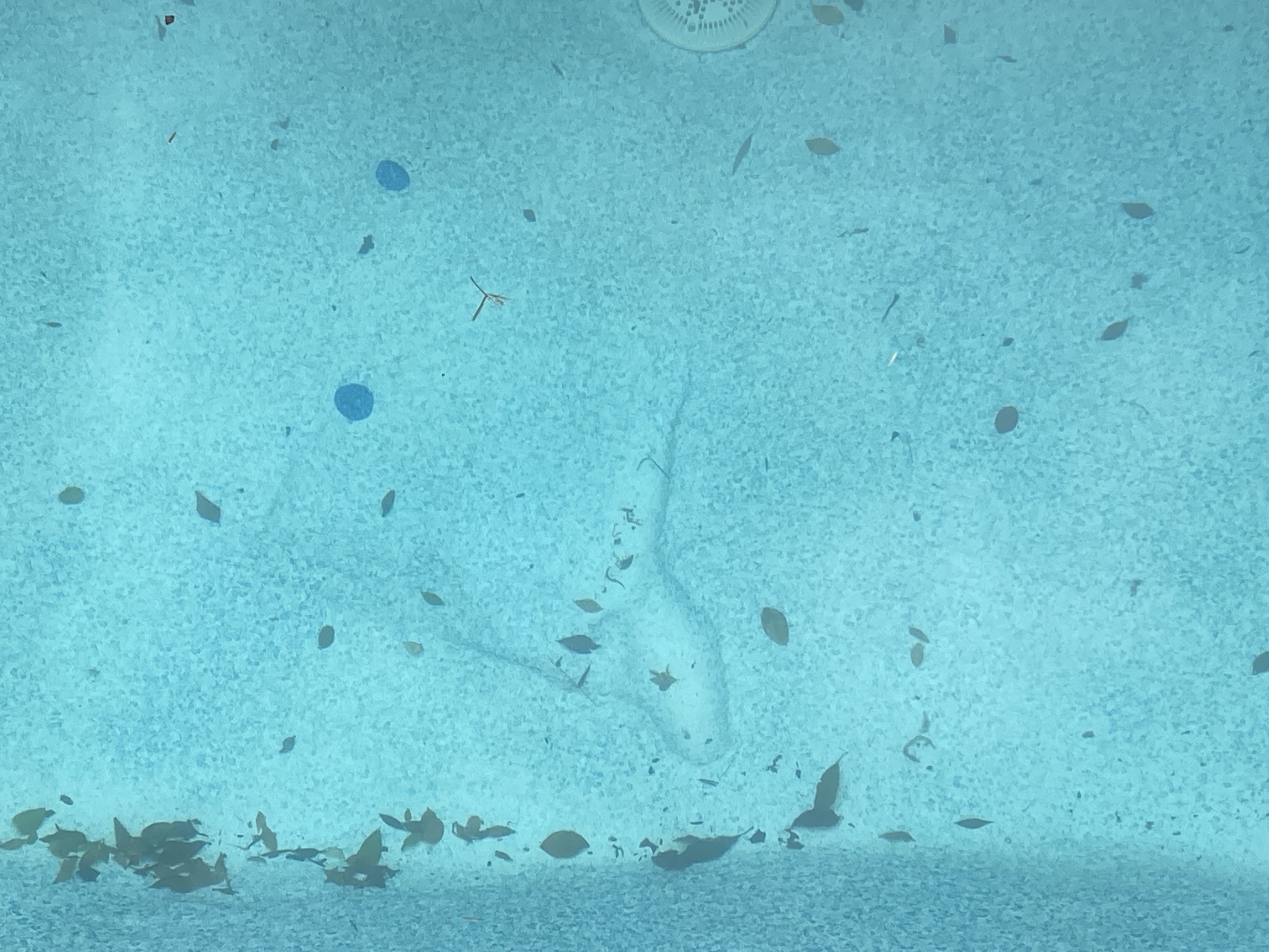 Washout in vermiculite pool base - All Swimming Pools Types - Pool and ...