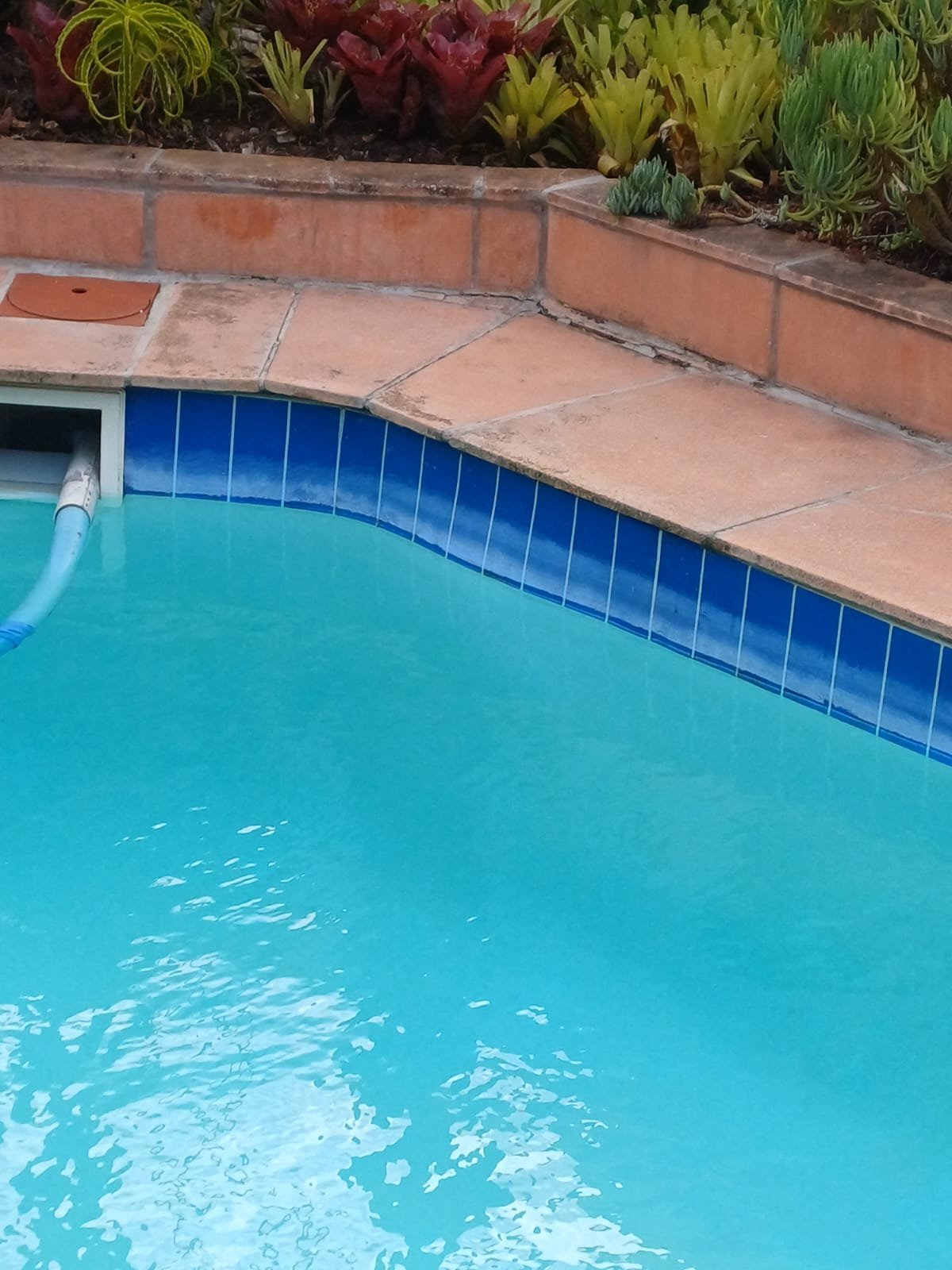 White Mark above Water Line around side of Fibreglass Pool - All ...