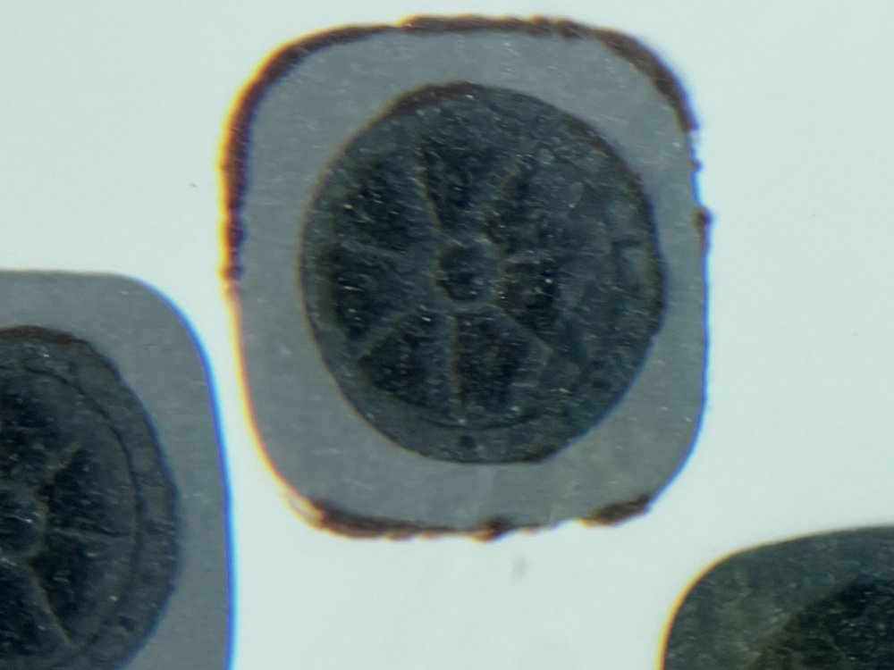 Black Mold!? Help Please! *Pics* - Hot Tub Water Chemistry - Pool and ...