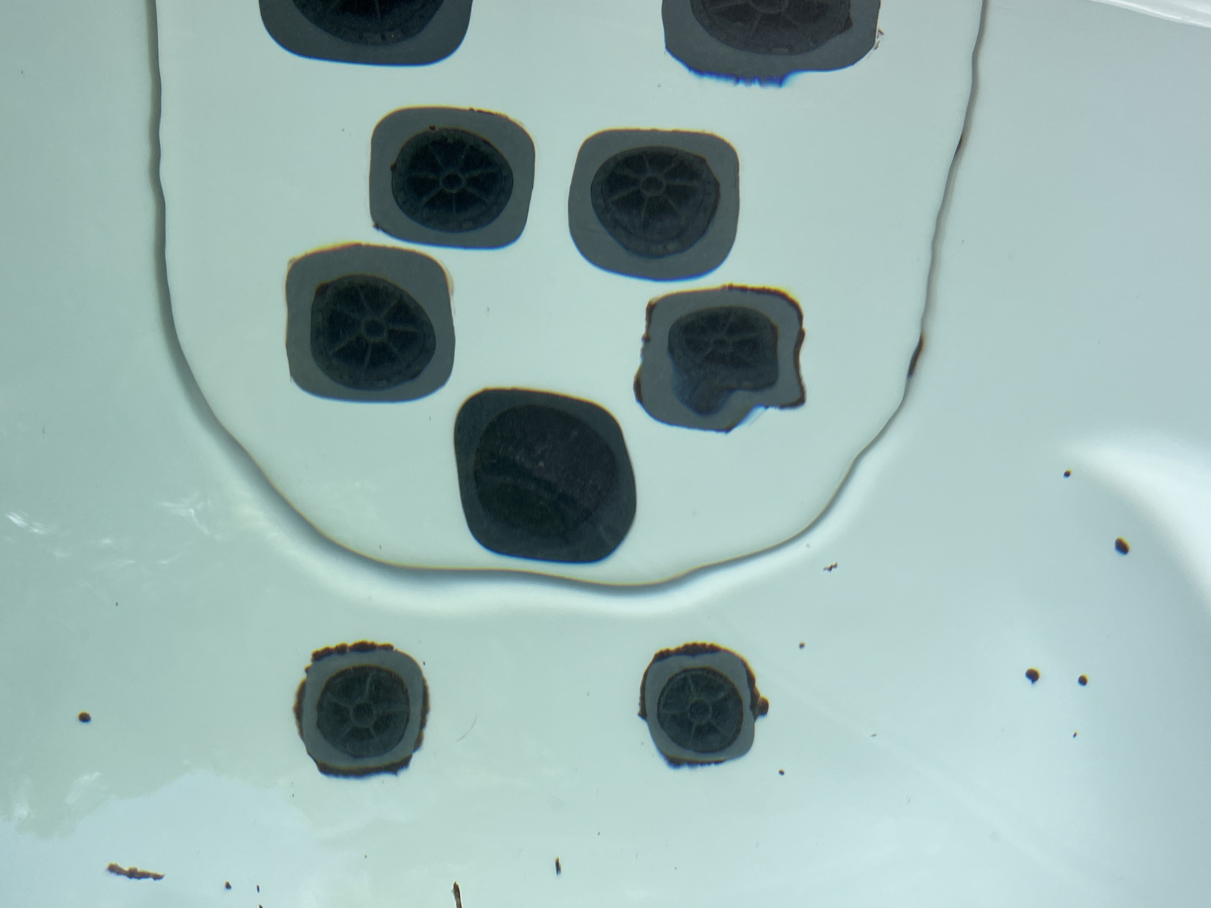 Black Mold!? Help Please! *Pics* - Hot Tub Water Chemistry - Pool and ...