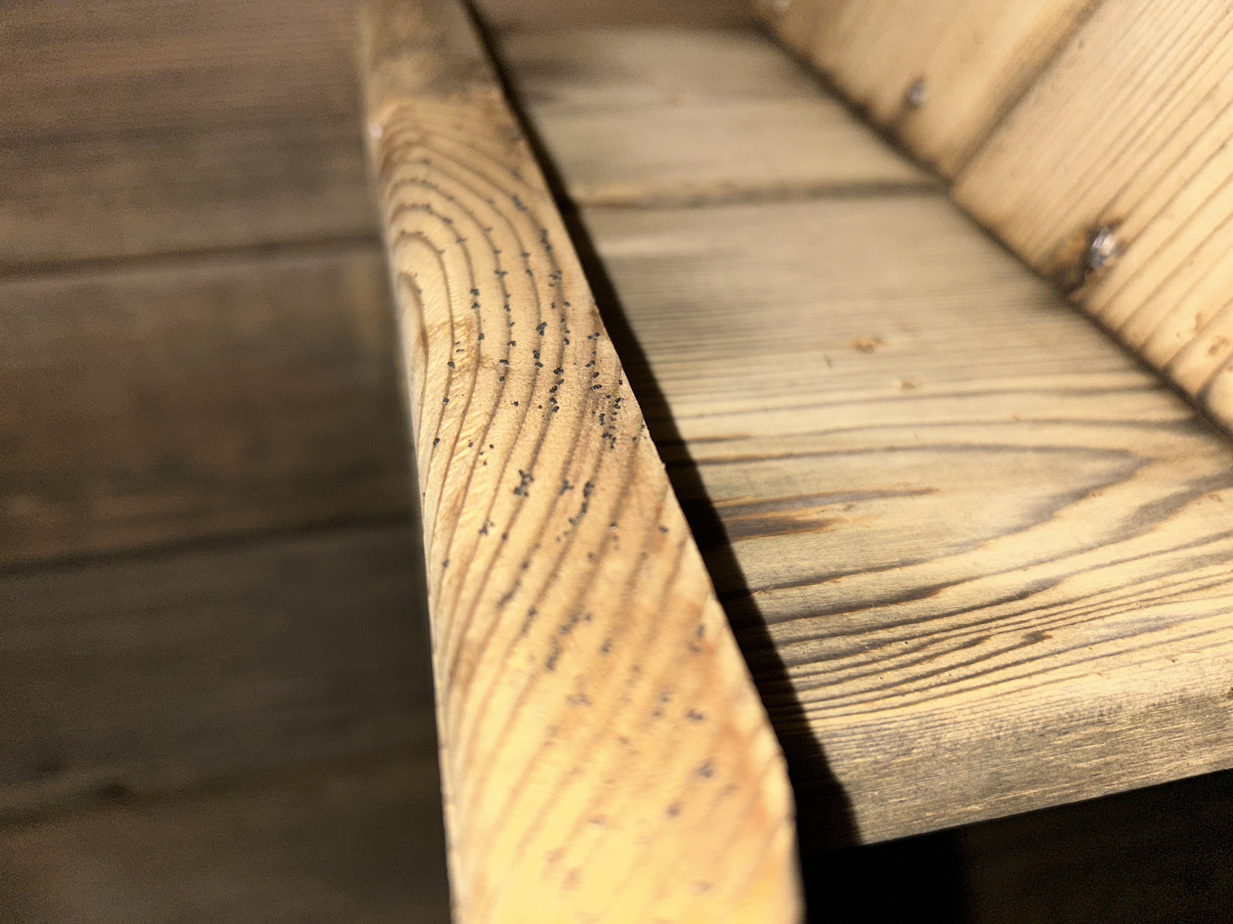 Black Mold!? Help Please! *Pics* - Hot Tub Water Chemistry - Pool and ...