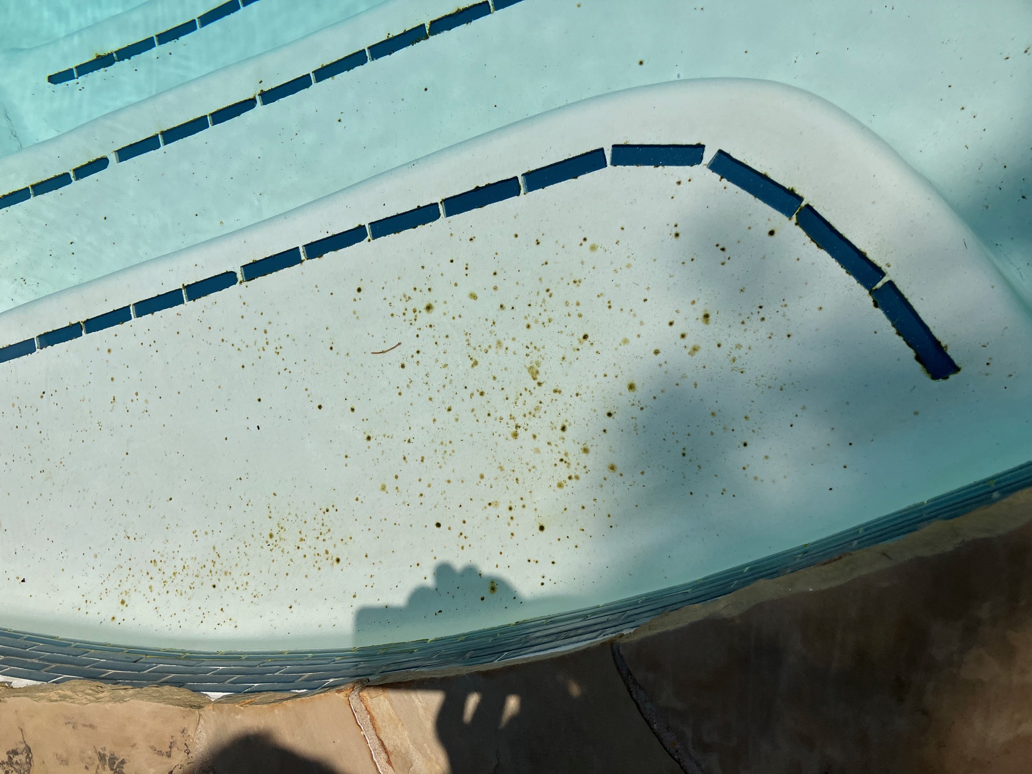 Plaster Spots - All Swimming Pools Types - Pool and Spa Forum